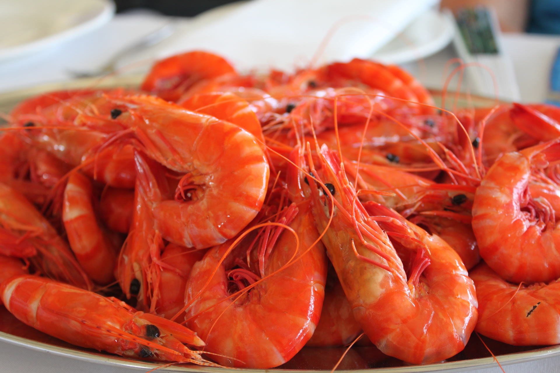 Cooked Tiger Prawns (seafood) - Gourmet Meat Company